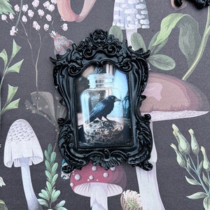 Gothic Wall Art Oddities and Curiosities AI Framed Wall Hanging Dark ...