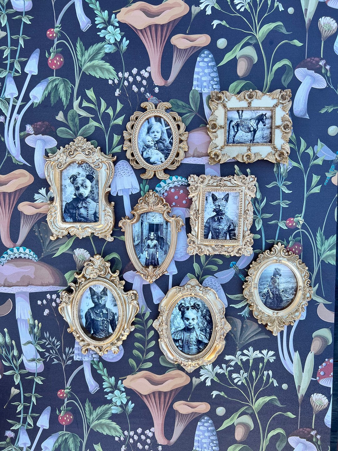 Creepy Photograph Oddities Framed Wall Art Cottage Goth Victorian ...