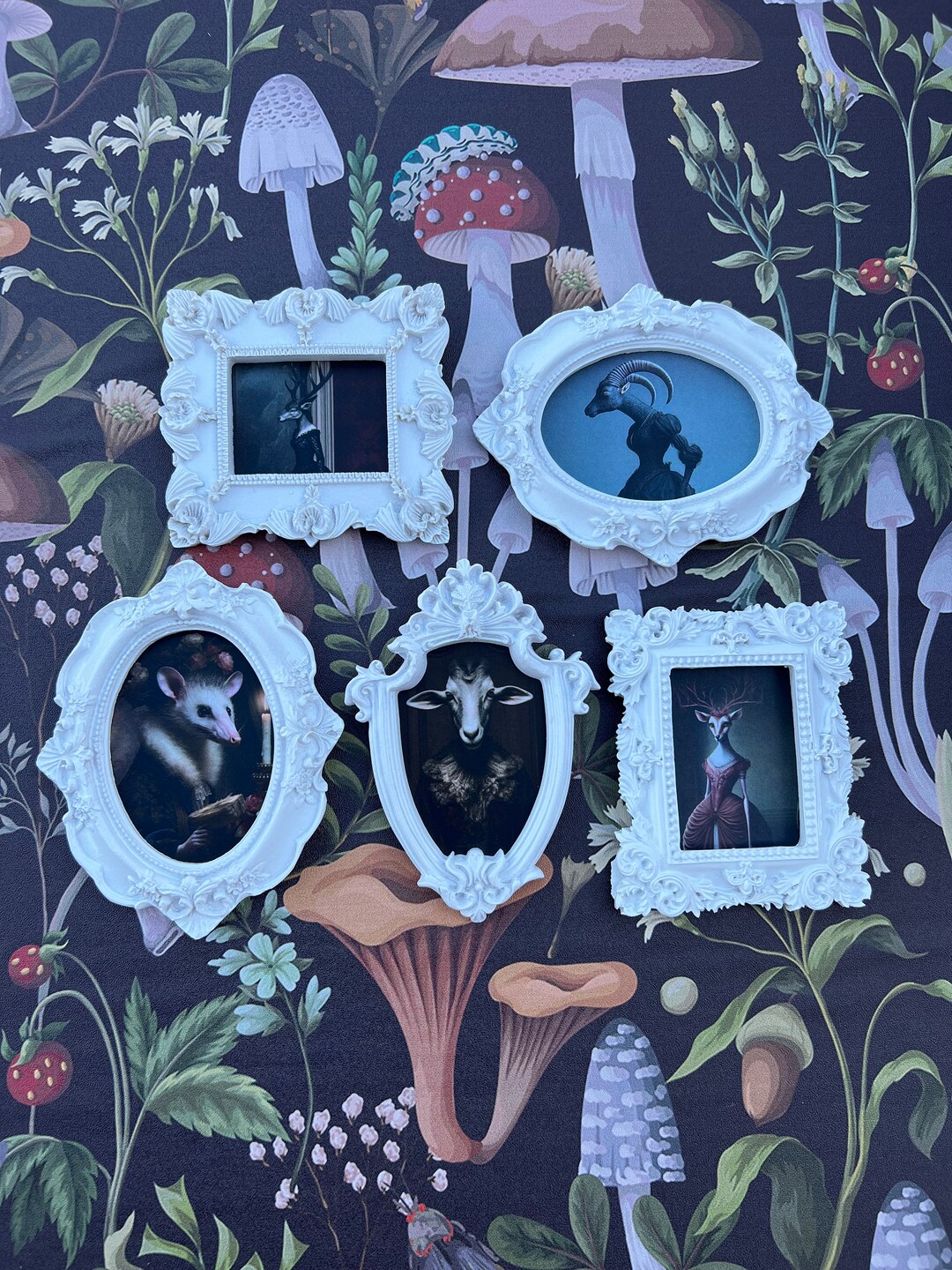 Victorian Animals Oddity Art Framed Oddities and Curiosities Wall ...