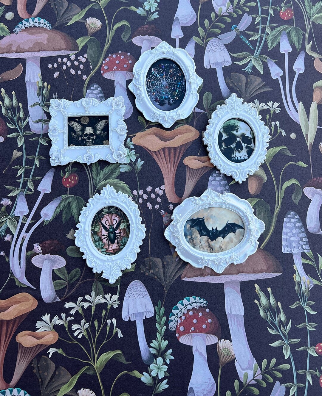 Whimsigoth Victorian Oddity Art Framed Oddities and Curiosities Wall ...