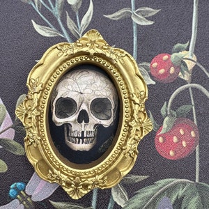 Magnet Oddities Tiny Framed Curiosities Unique Gothic Home Decor Fridge ...