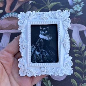 Whimsigoth Victorian Animals Oddity Art Framed Oddities and Curiosities ...