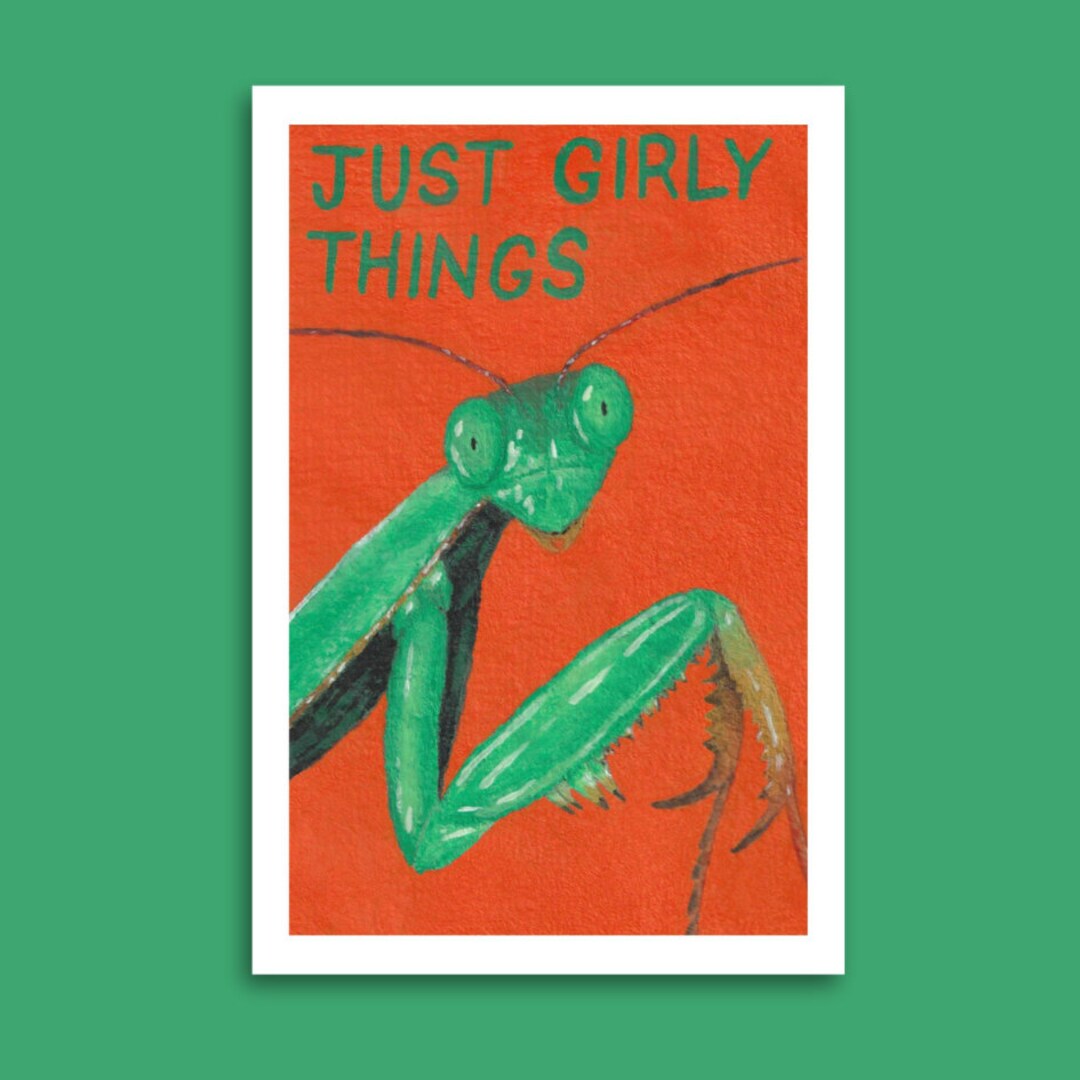 Just Girly Things - Art Print - Etsy