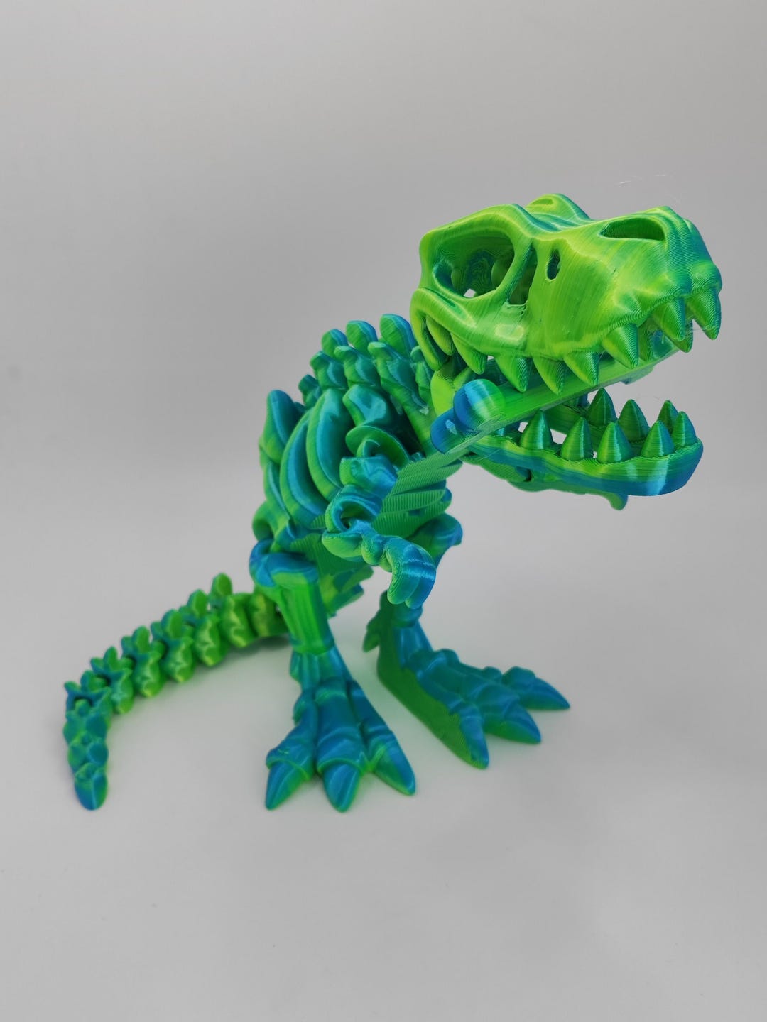 Skelly Dynos: T-rex - Etsy