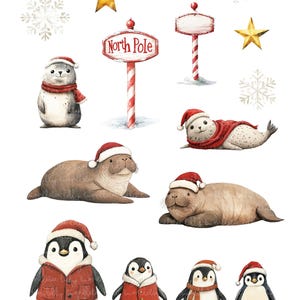 75 Christmas Arctic Animals, PNG Watercolor Clipart, Polar Bear, Fox ...