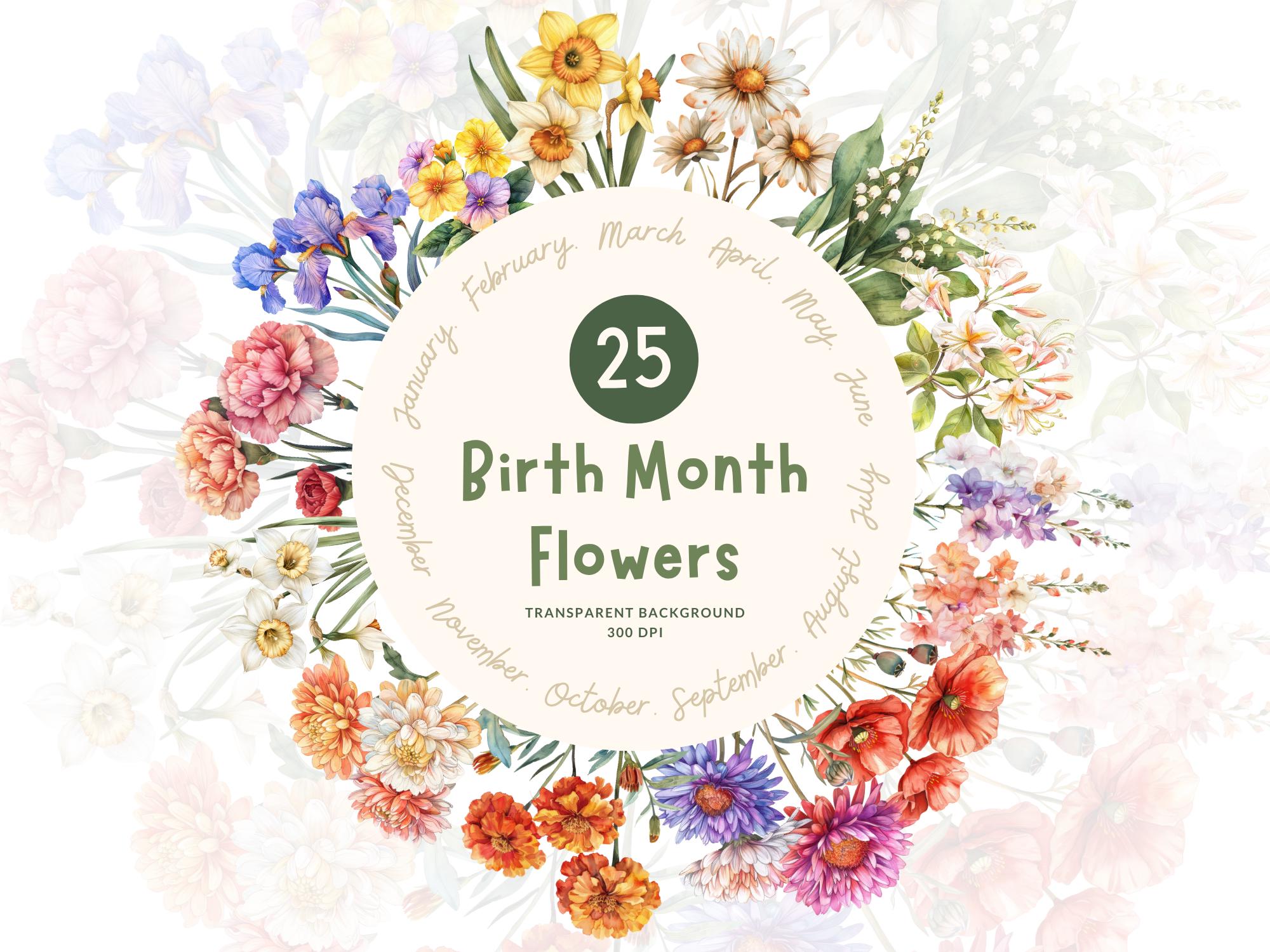 25 Birth Month Flowers (two per Month), PNG, Watercolor Clipart ...