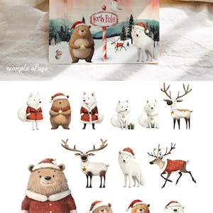 75 Christmas Arctic Animals, PNG Watercolor Clipart, Polar Bear, Fox ...