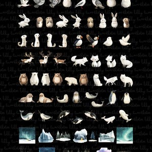 63 Arctic Animals, PNG Watercolor Clipart, Polar Bear, Fox, Owl, Wolf ...