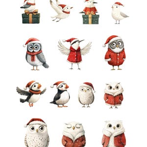 75 Christmas Arctic Animals, PNG Watercolor Clipart, Polar Bear, Fox ...