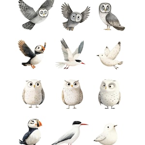 63 Arctic Animals, PNG Watercolor Clipart, Polar Bear, Fox, Owl, Wolf ...