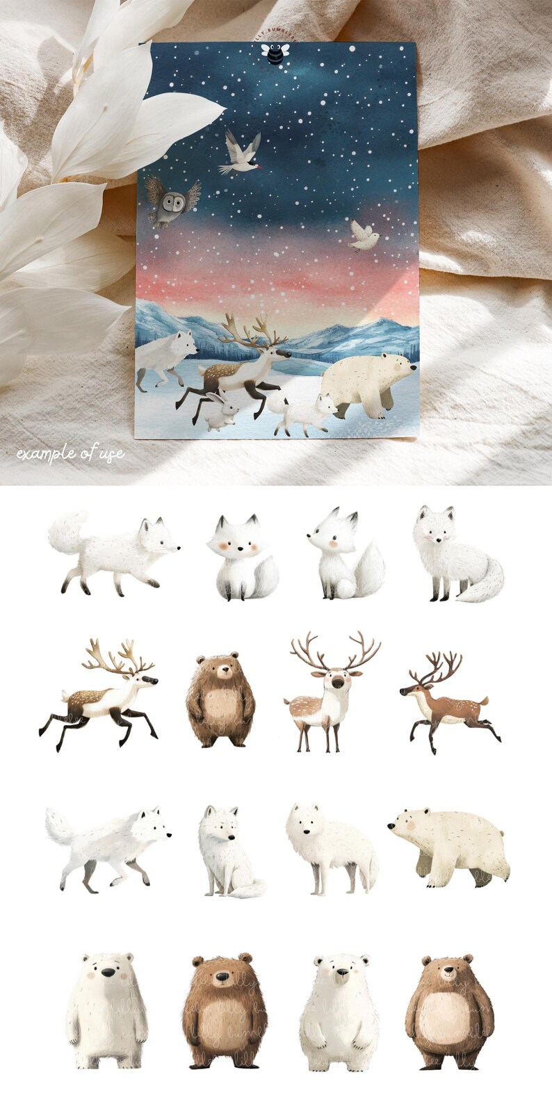 63 Arctic Animals, PNG Watercolor Clipart, Polar Bear, Fox, Owl, Wolf ...