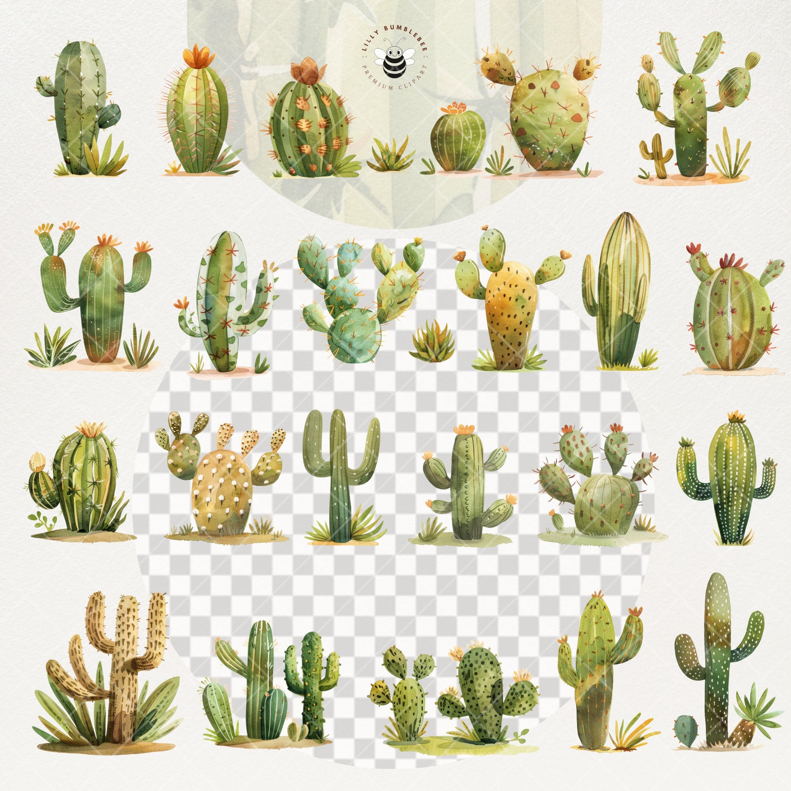 42 Cactus Clipart & Desert Clipart - Watercolor PNG Set, Commercial Use ...