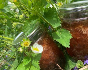 Organic Strawberry Jam,pure Strawberry Jam,authentic Foods,traditional ...