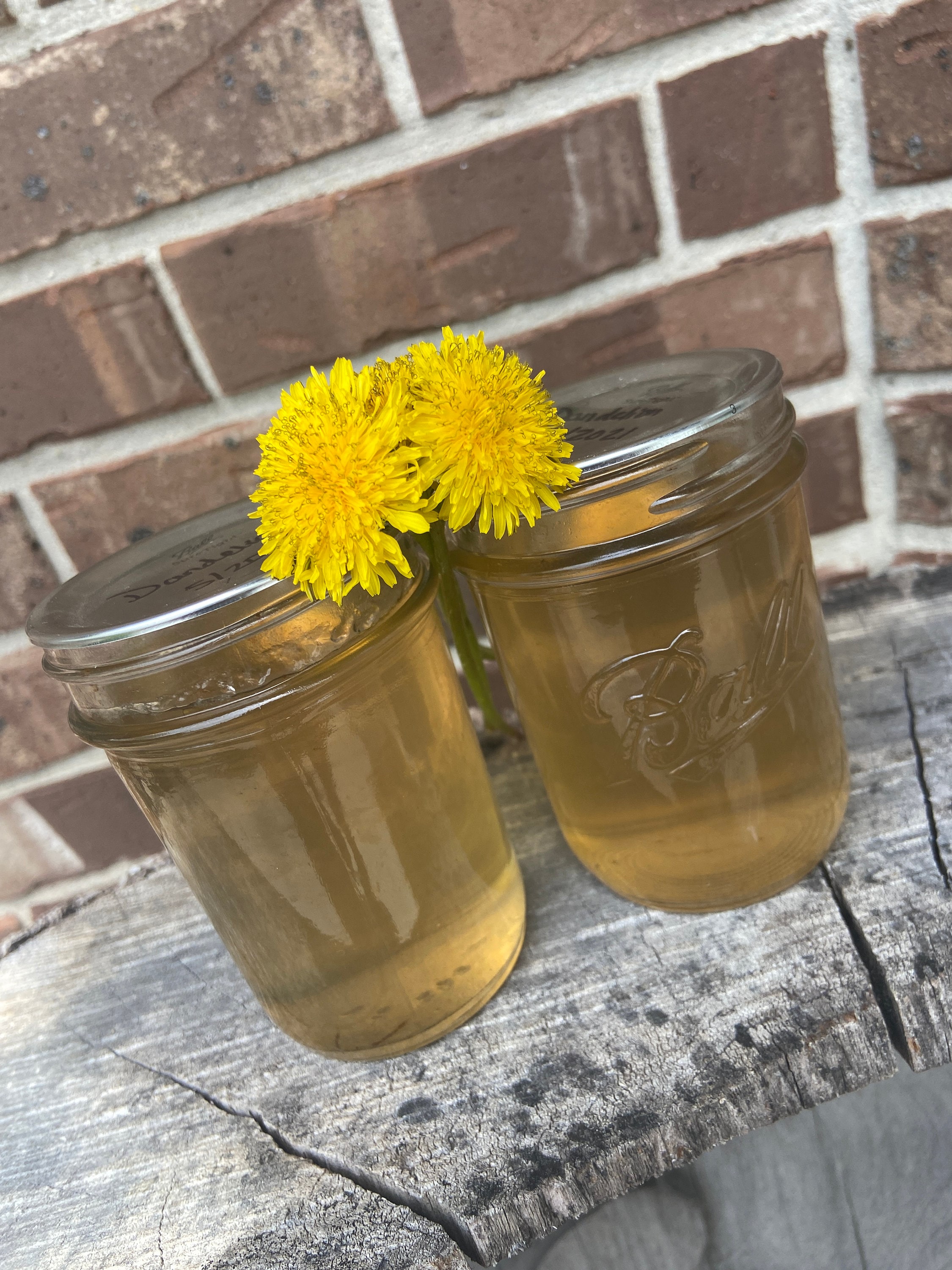 Dandelion Jelly - Etsy
