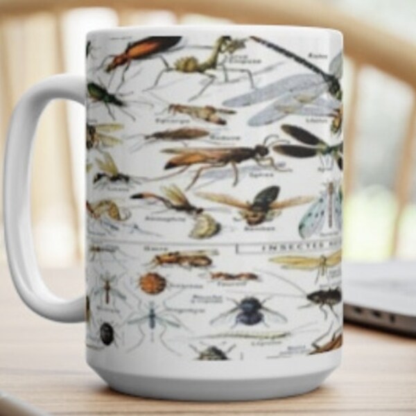 Insect Illustration - Etsy