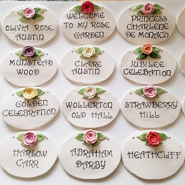 David Austin Roses - Etsy