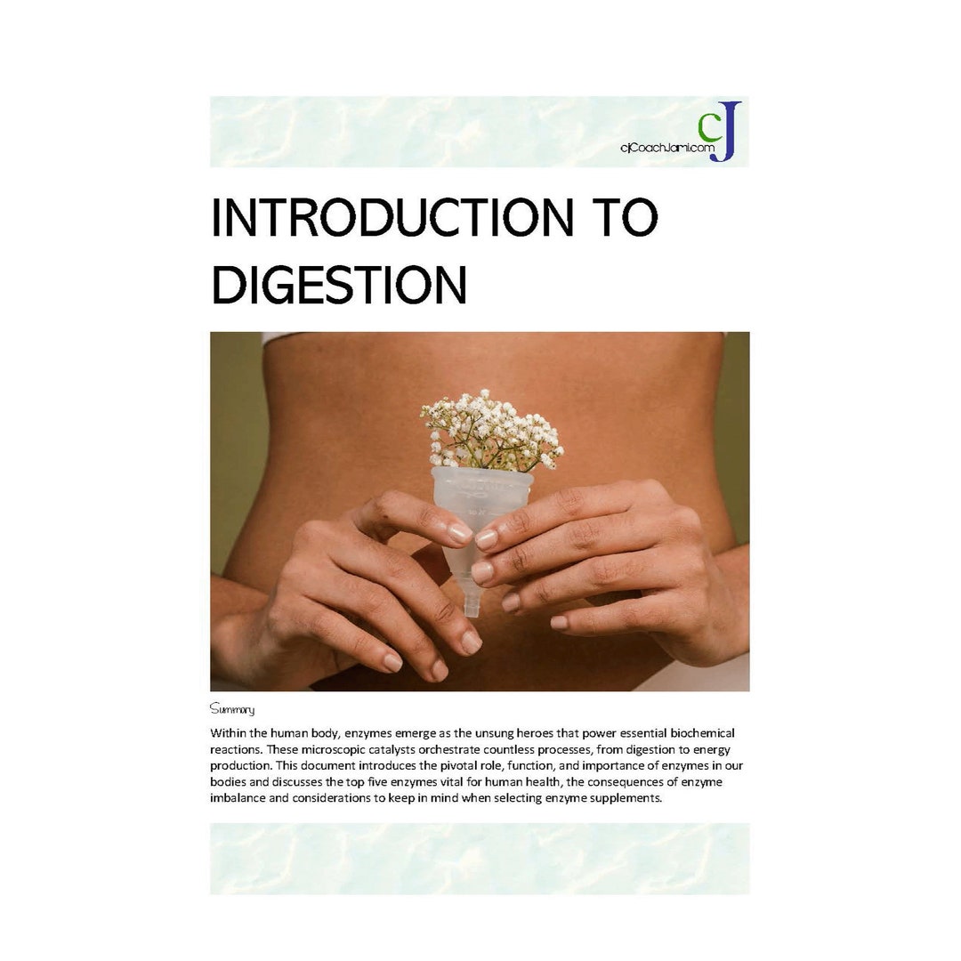 Guides: Digestion Bundle - Etsy