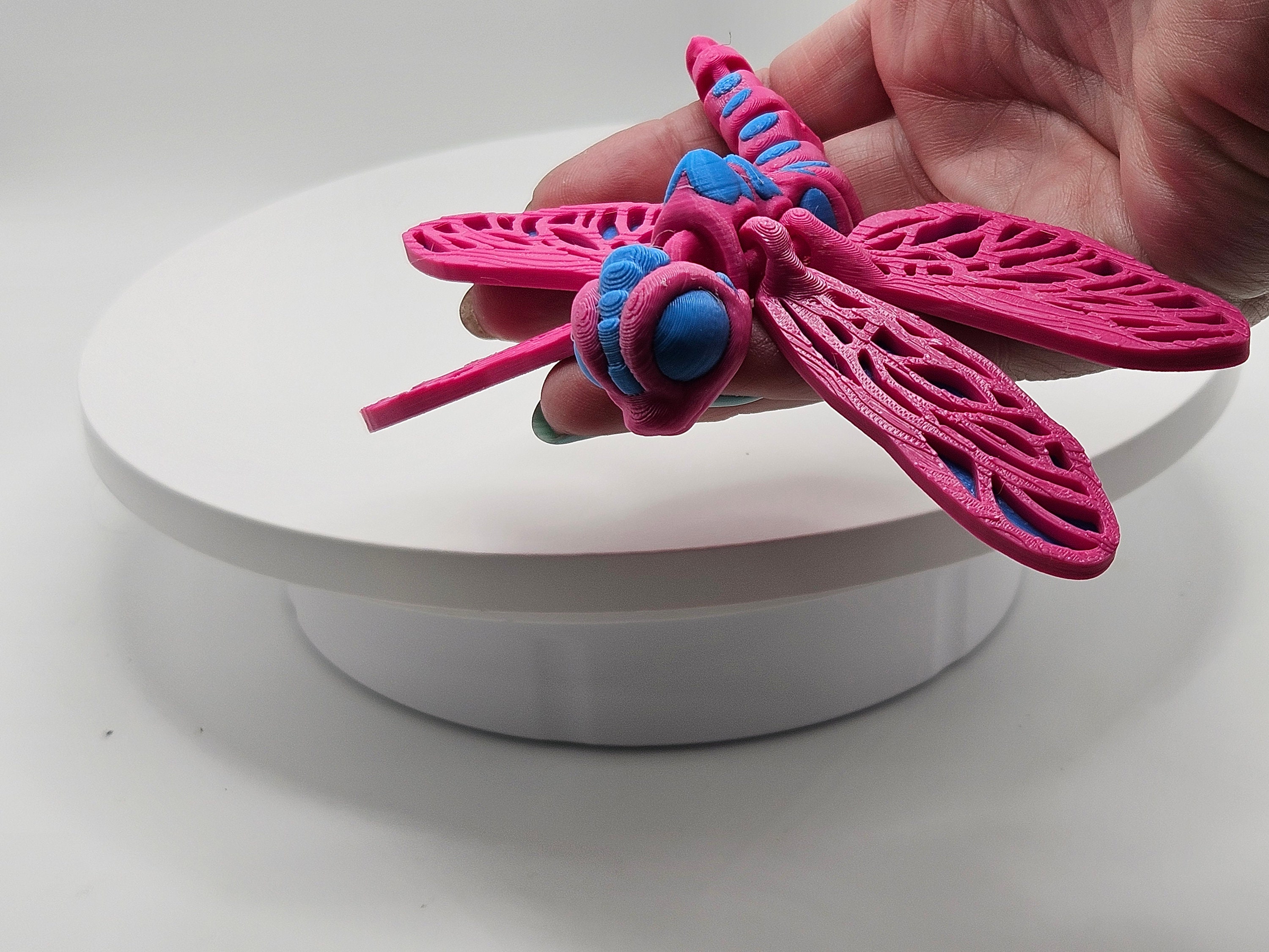 Cinder Dragonfly Designed by Cinderwing3d - Etsy