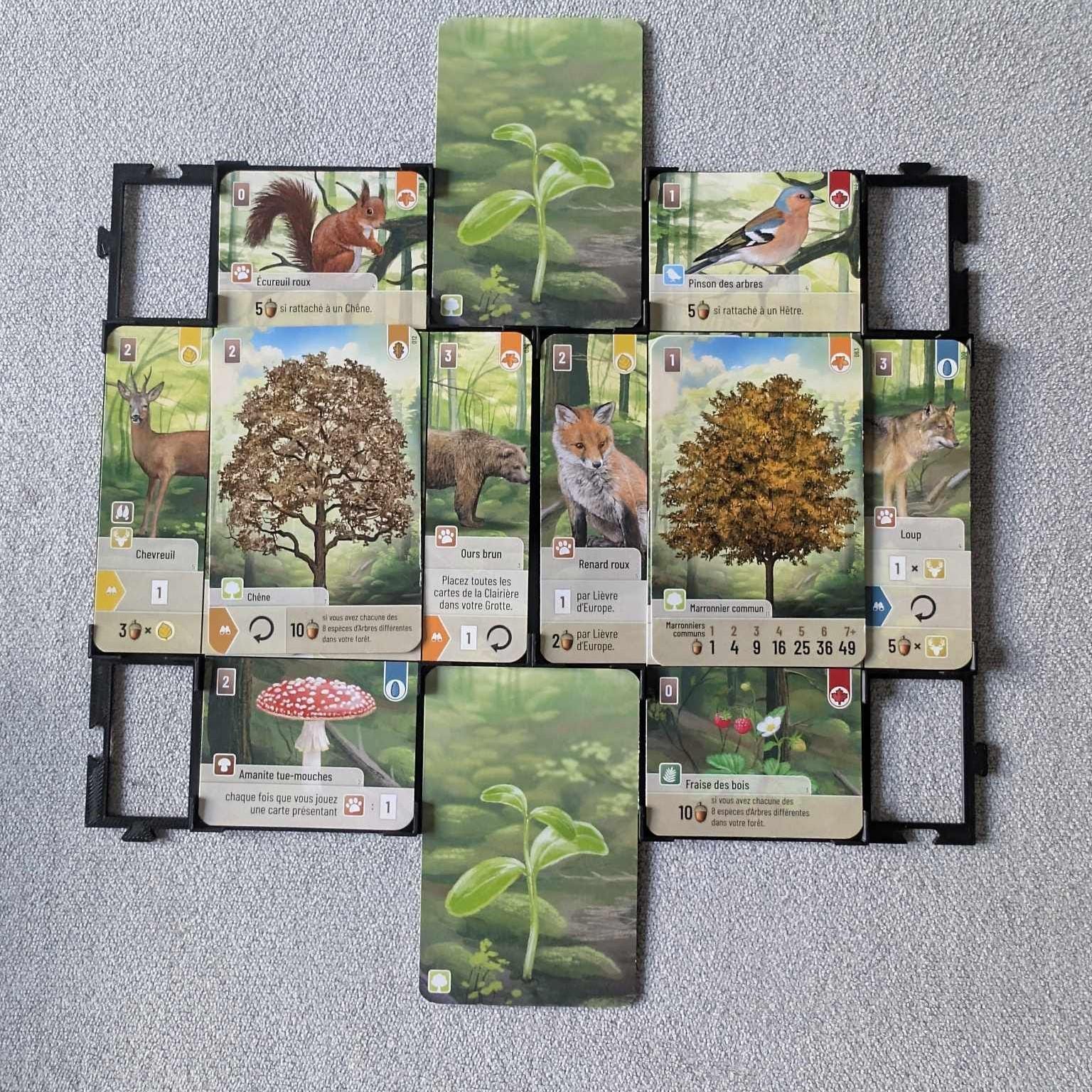 3D Game Grid for "forest Shuffle" Card Organize Your Games in Style ...