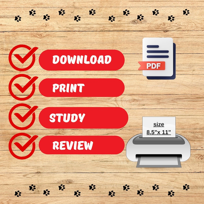 Spanish Lessons for Beginners Curriculum 30 Days. Home Schooling and ...