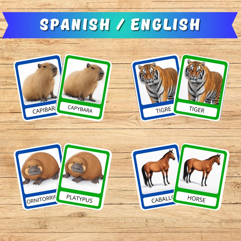 Flash Cards Spanish & English. Animals Montessori Cards. Printable ...