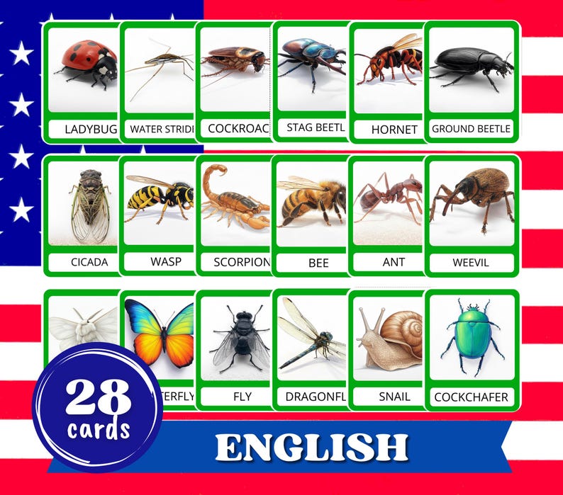 Spanish Flash Cards for Kids. Insects Flashcards. Printable Montessori ...