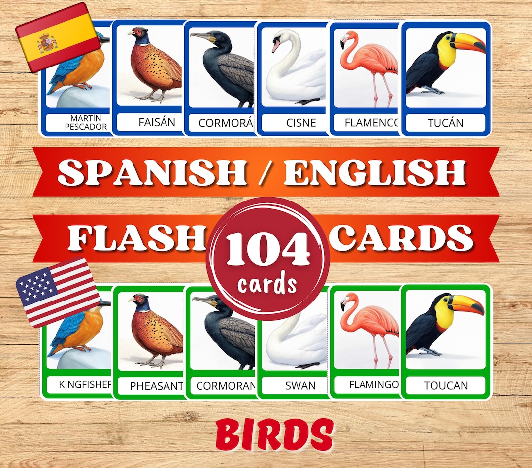 Flash Cards Spanish & English. Birds Montessori Cards. Printable Cards ...