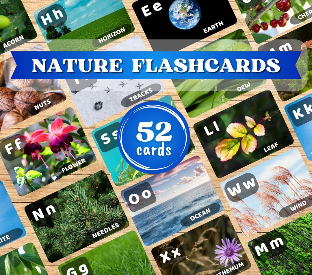 Montessori Nature Alphabet Flashcards. English ABC Printable ...