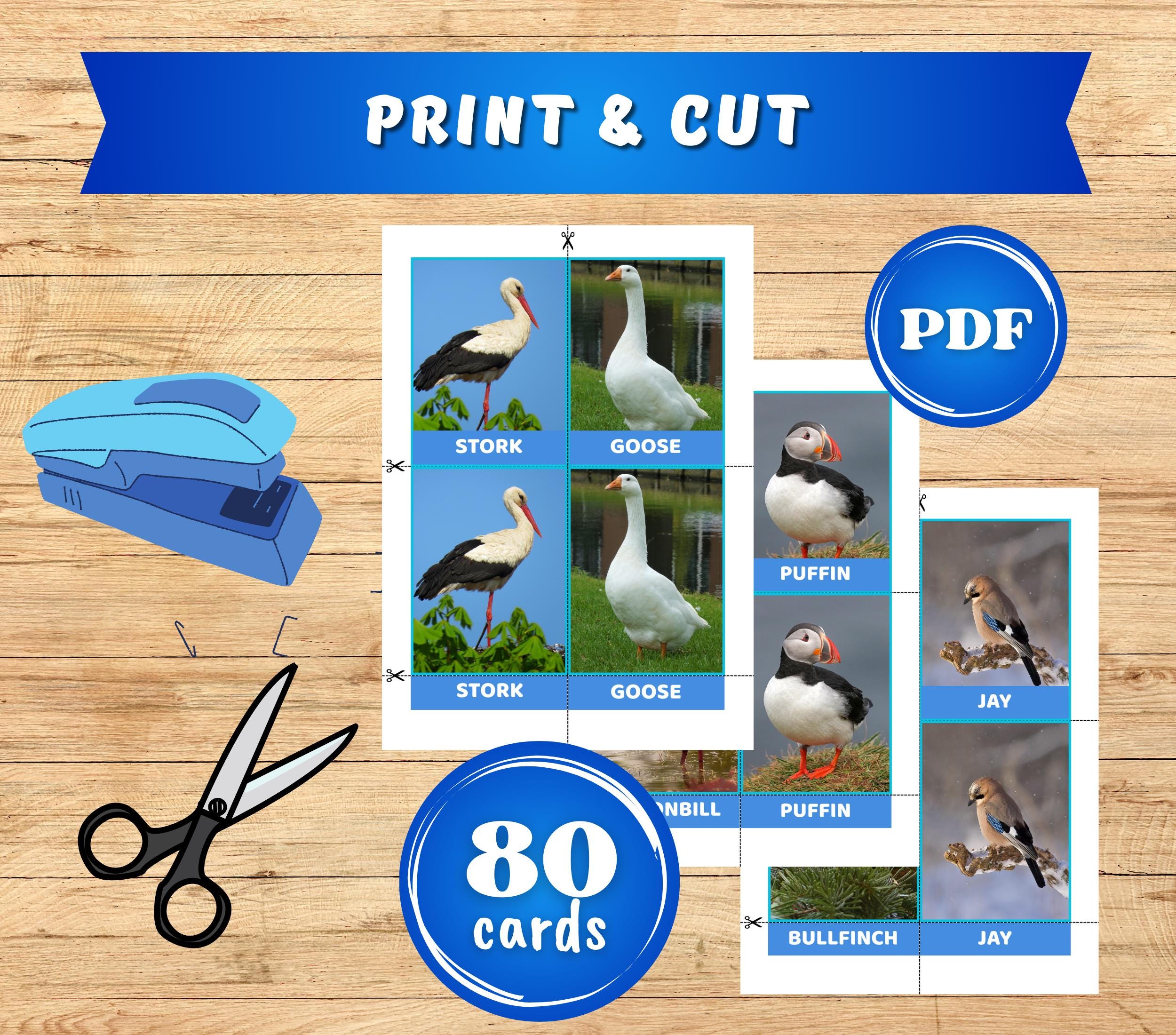 Montessori Bird Flashcards Printable. Nature Educational Games. Toddler ...