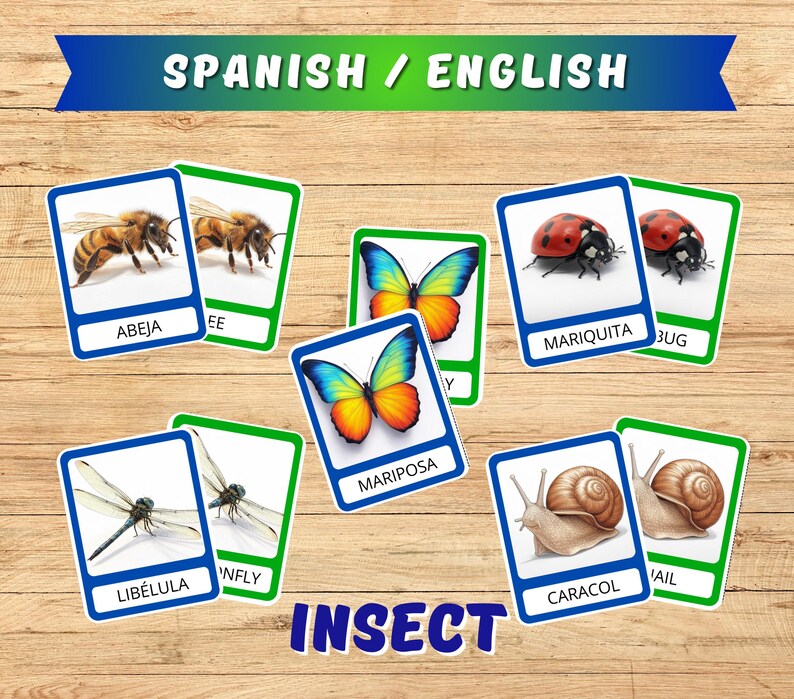 Spanish Flash Cards for Kids. Insects Flashcards. Printable Montessori ...