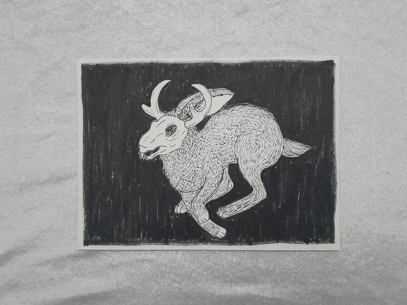 Jackalope Drawing Cryptid Art Black and White Marker - Etsy