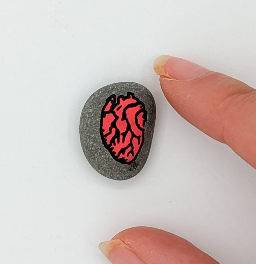 Anatomical Heart Rock - Etsy