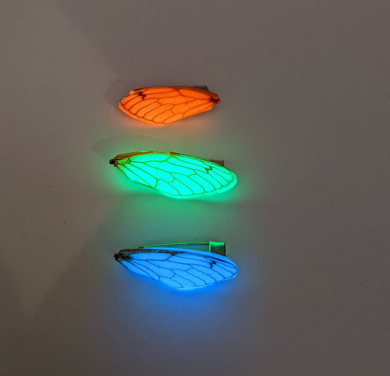 Glow in the Dark Cicada Wing Brooch - Etsy