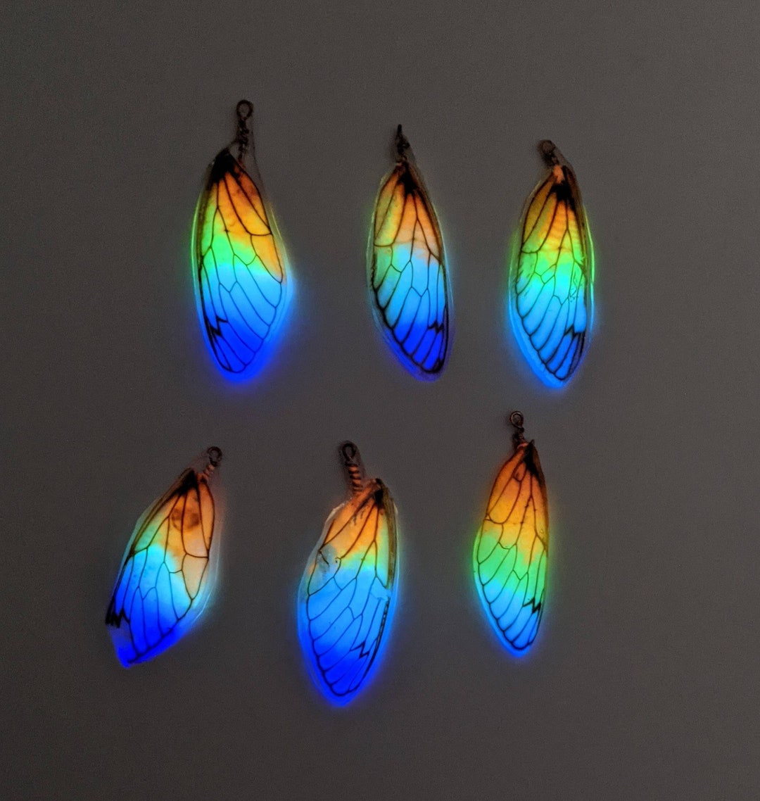 Rainbow Glow in the Dark Cicada Wing Pendant - Etsy
