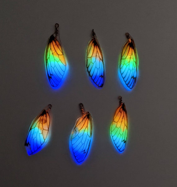 Rainbow Glow in the Dark Cicada Wing Pendant | Etsy Israel