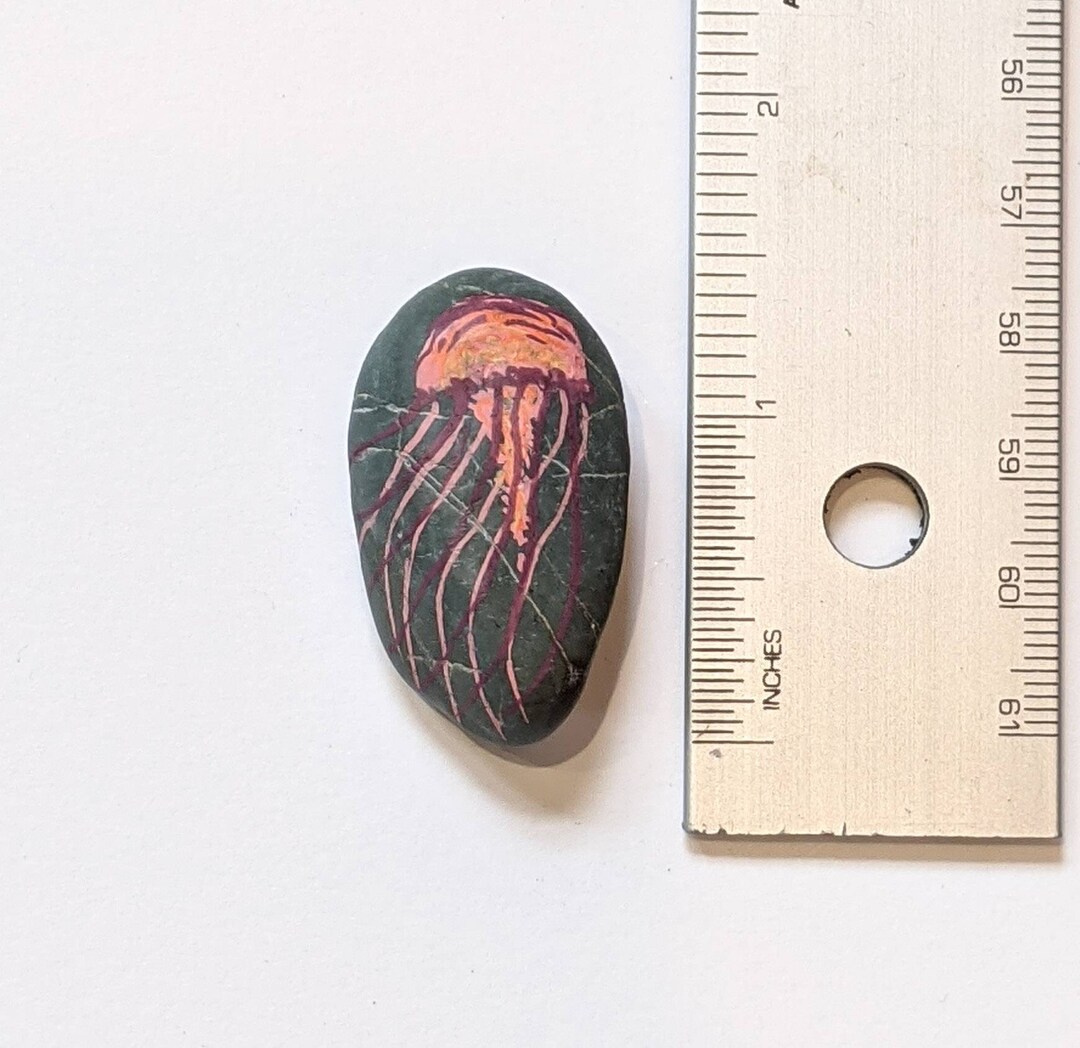 Hand-painted Jellyfish Rock Art - Etsy