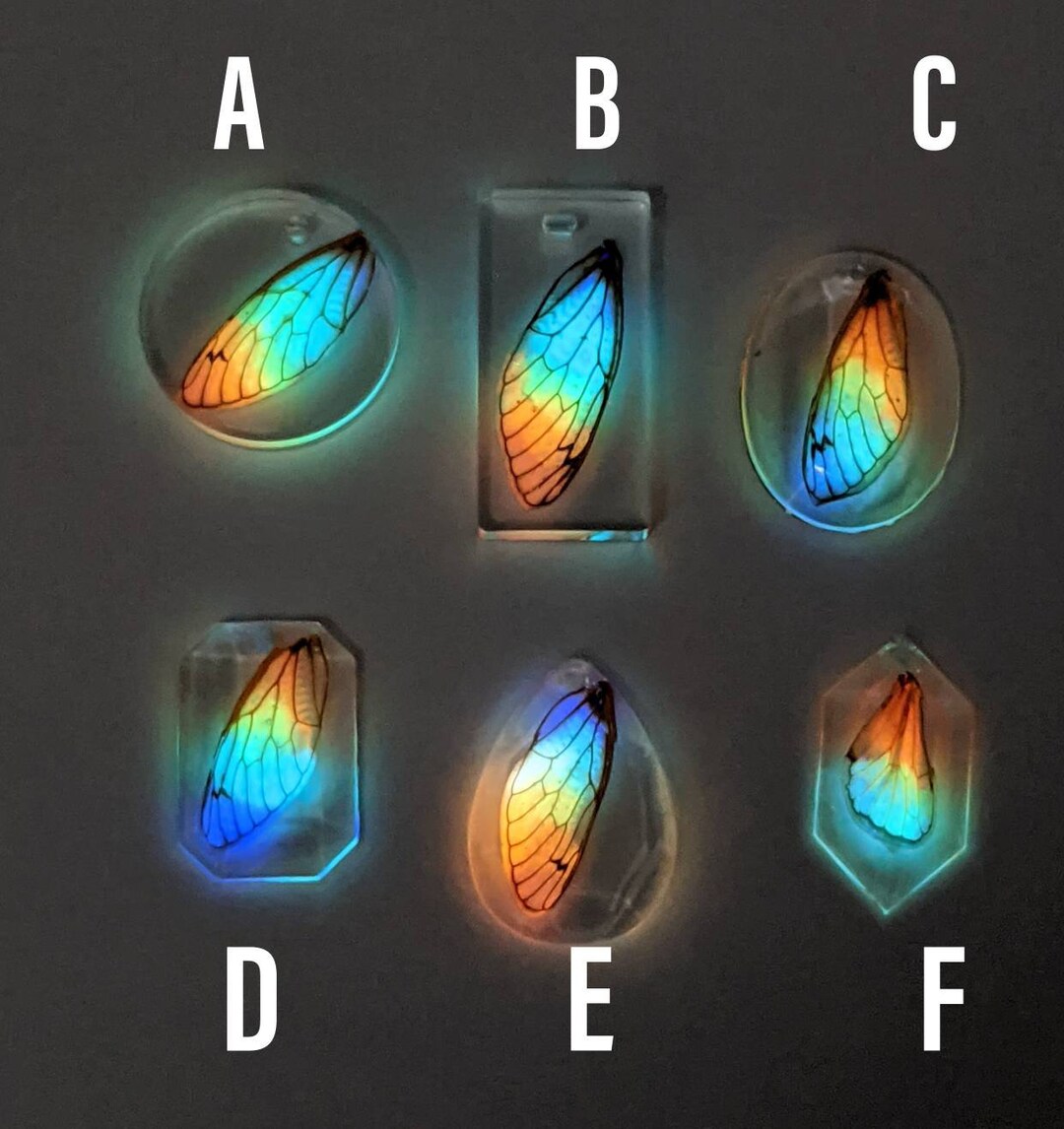 Rainbow Glow in the Dark Cicada Wing in Resin Pendant-- Choose Your ...