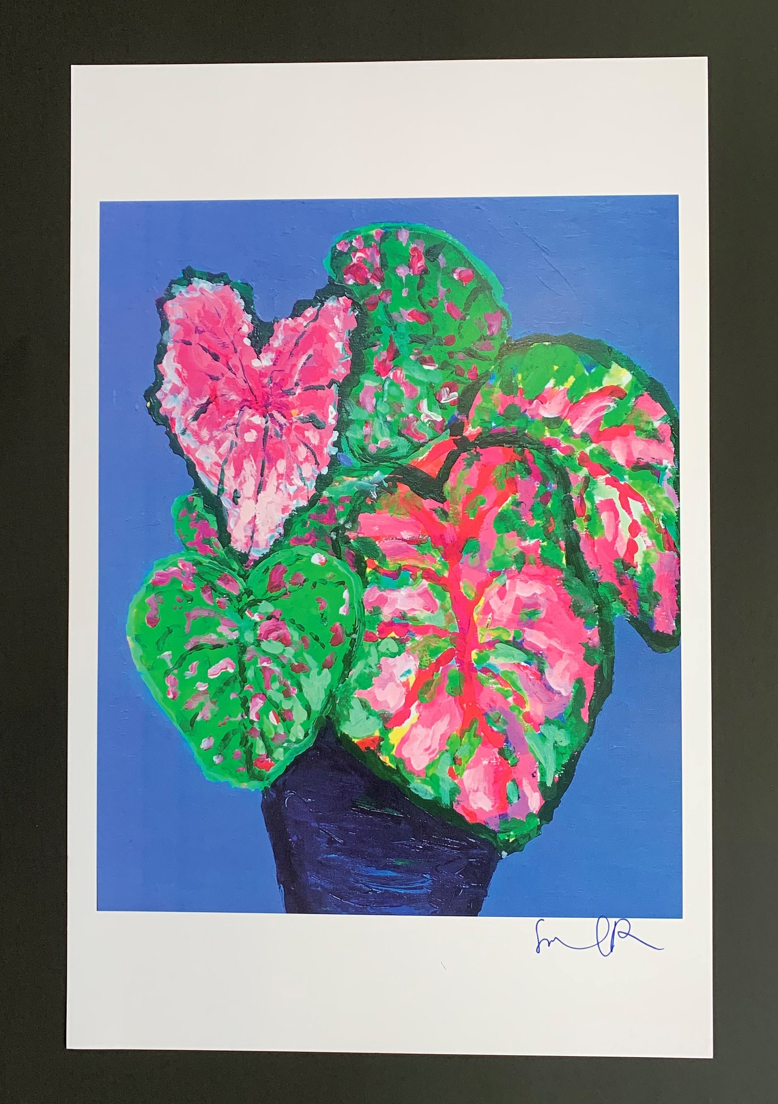 Triple Caladium Limited Edition Print From Original Painting - Etsy