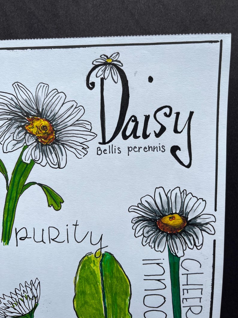 Daisy Original Pen and Ink Drawing - Etsy