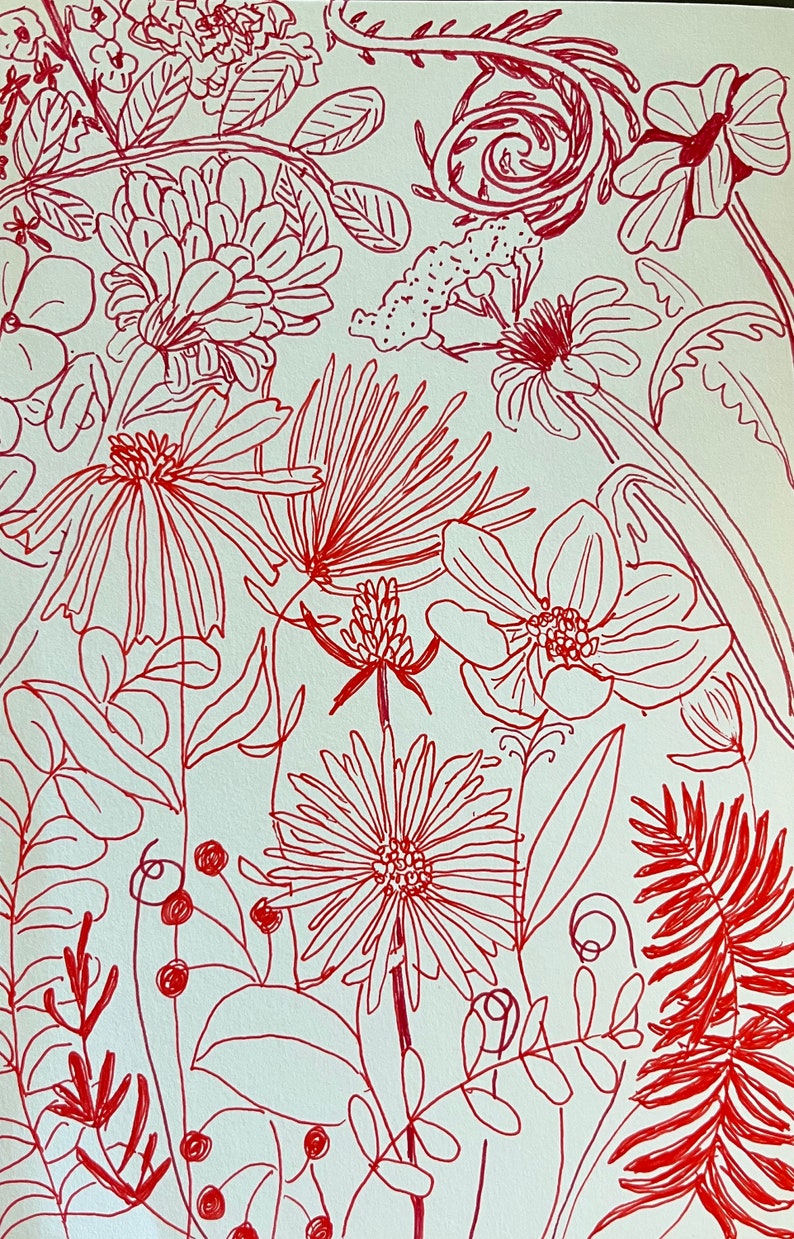 Flower Illustration Pen and Ink in Reds - Etsy