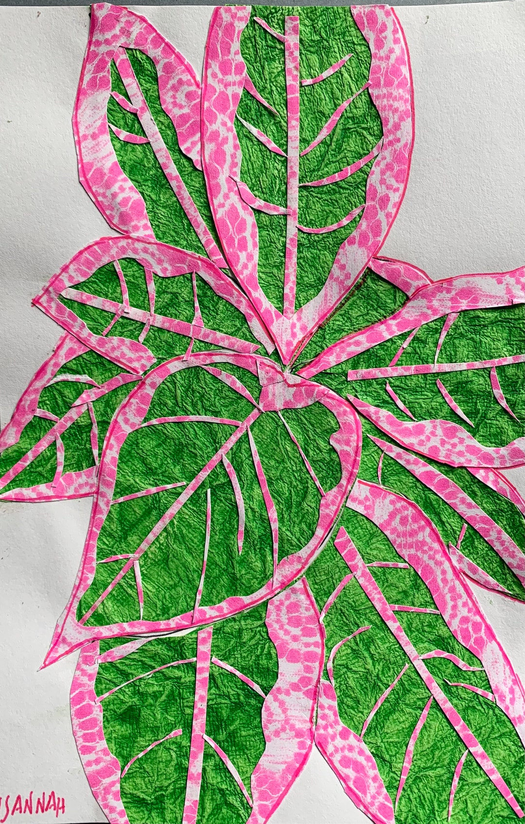 Caladium in Close up Illustration Ink Drawing Collage - Etsy