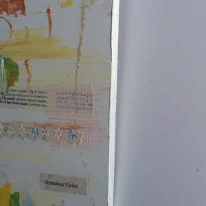 Color Study off Whites Gratuitous Violets - Etsy