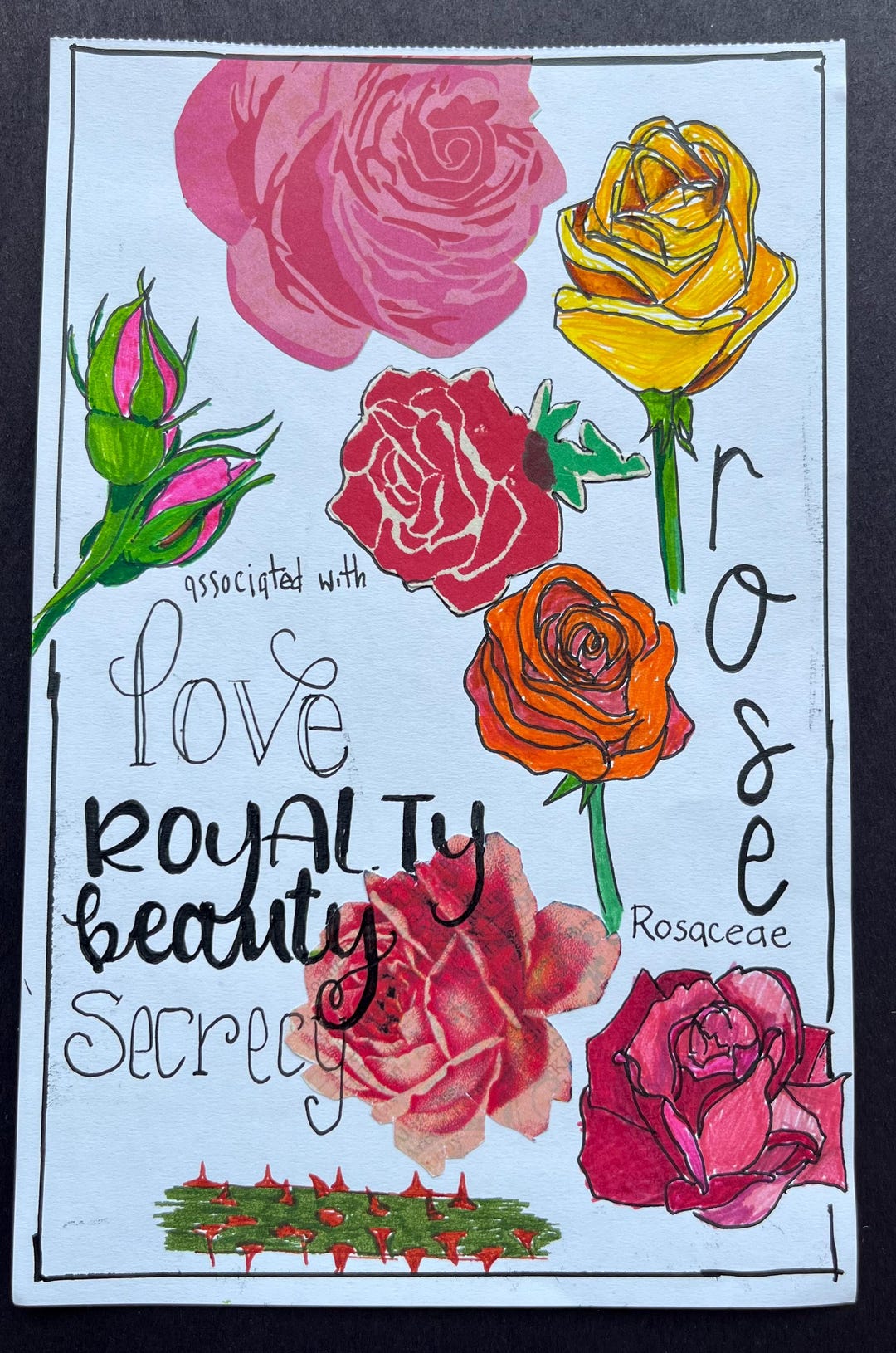 Rose Original Pen and Ink Drawing/collage - Etsy