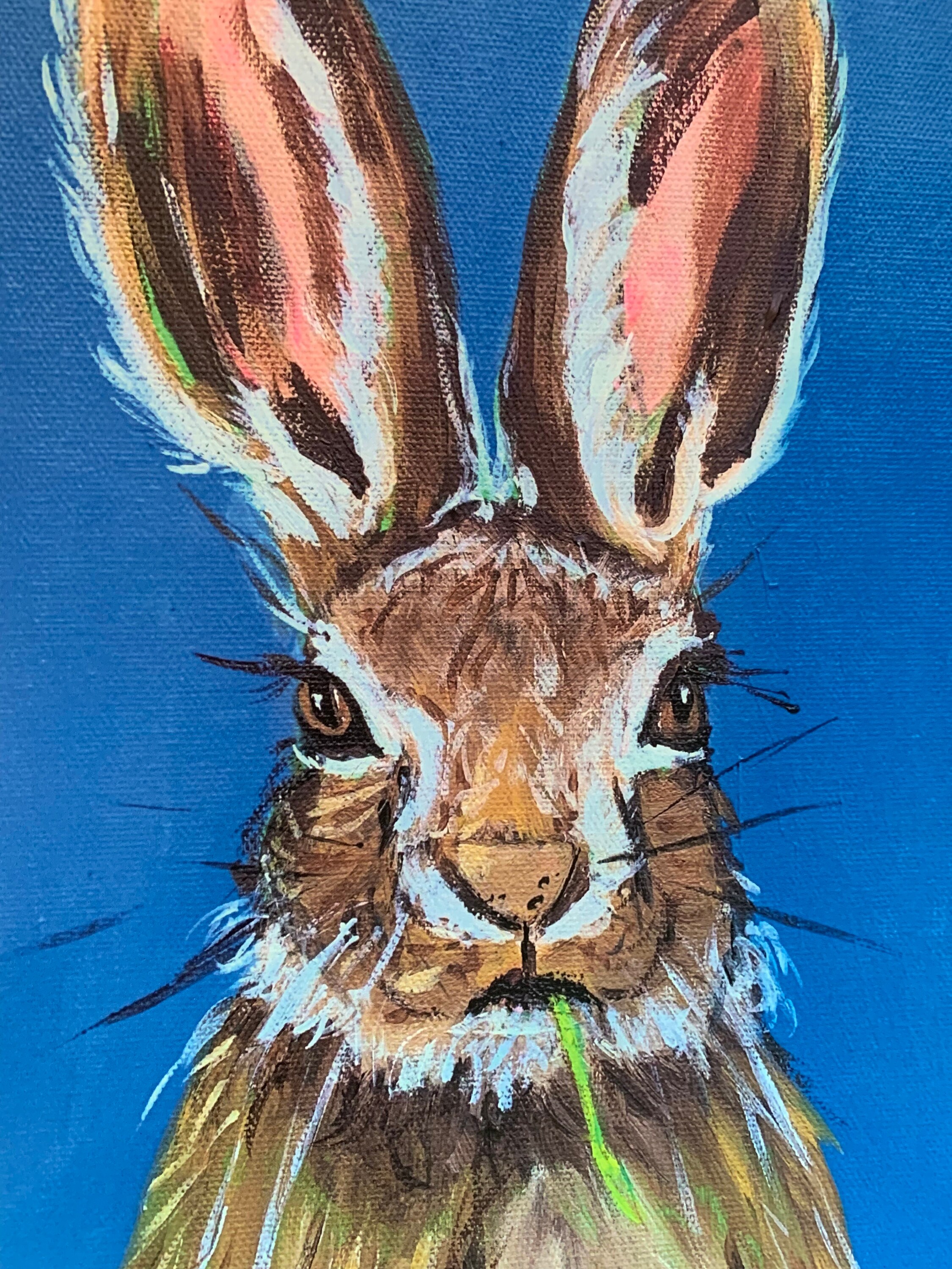 Wall Décor Prints Walter Rabbit Limited Edition Digital Print from ...