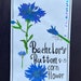 Bachelor's Button Original Pen and Ink Drawing/collage - Etsy