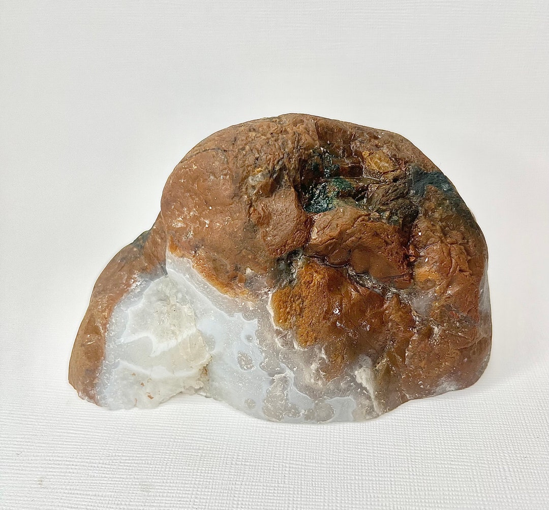 Agatized Jasper Wood With Polished Face - Etsy