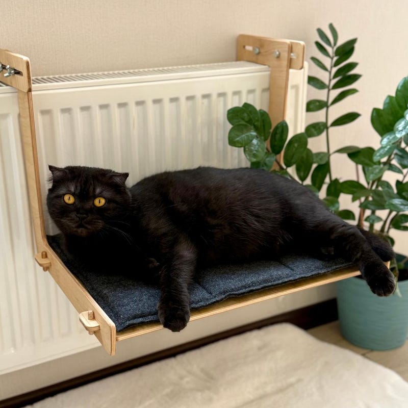 Cat Radiator Bed - Etsy