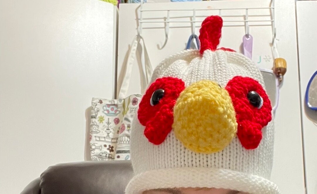Chicken Beanie Chicken Hat - Etsy