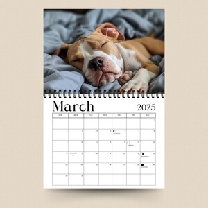 2025 Calendar Sleepy Dogs Calendar Monthly Planner - Etsy UK