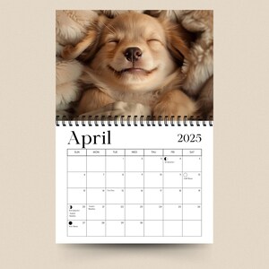 2025 Calendar Sleepy Dogs Calendar Monthly Planner - Etsy UK